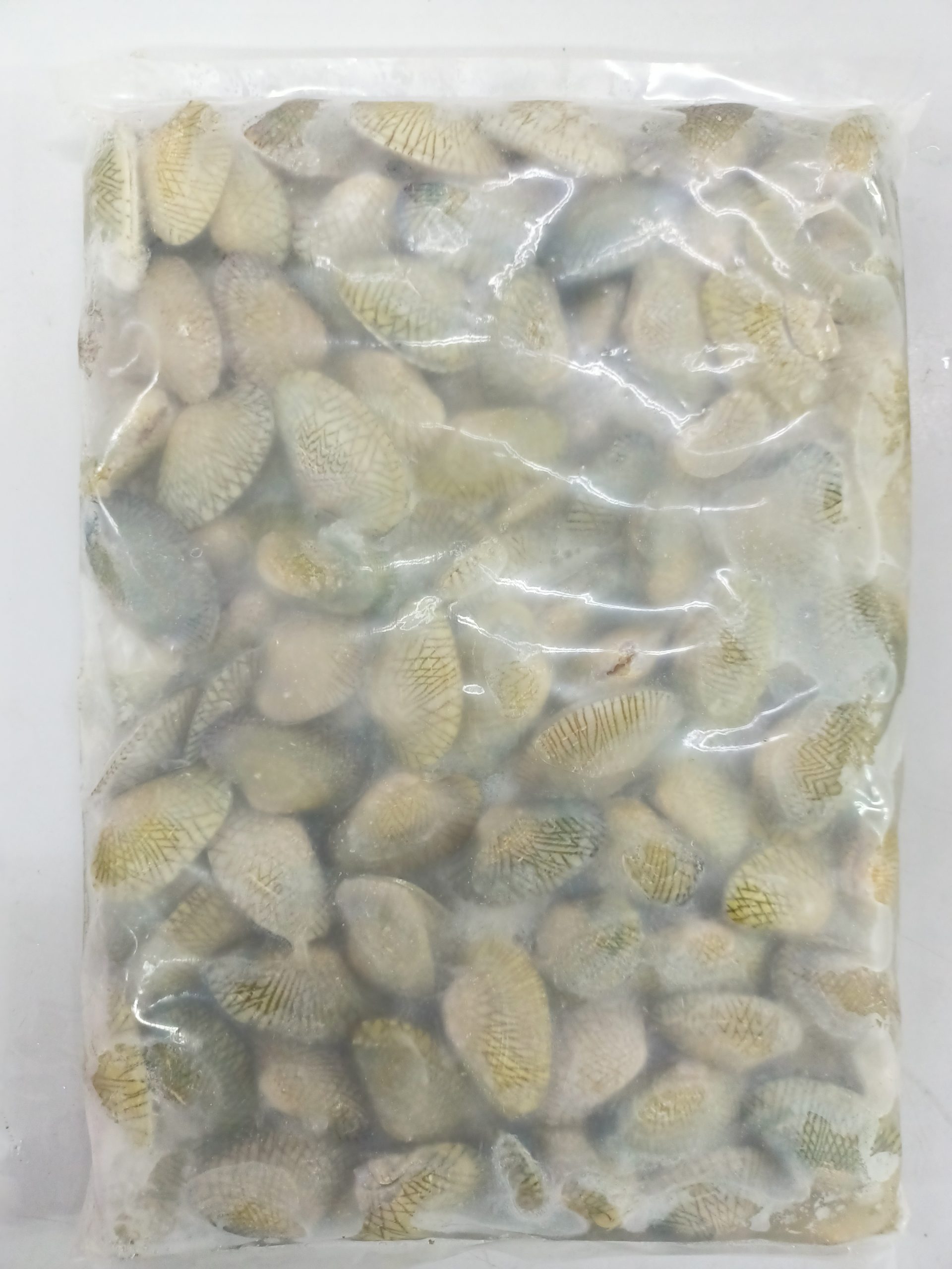 WHOLE SHELL FLOWER CLAM (LALA KULIT) 1KG – C&S Frozen Food
